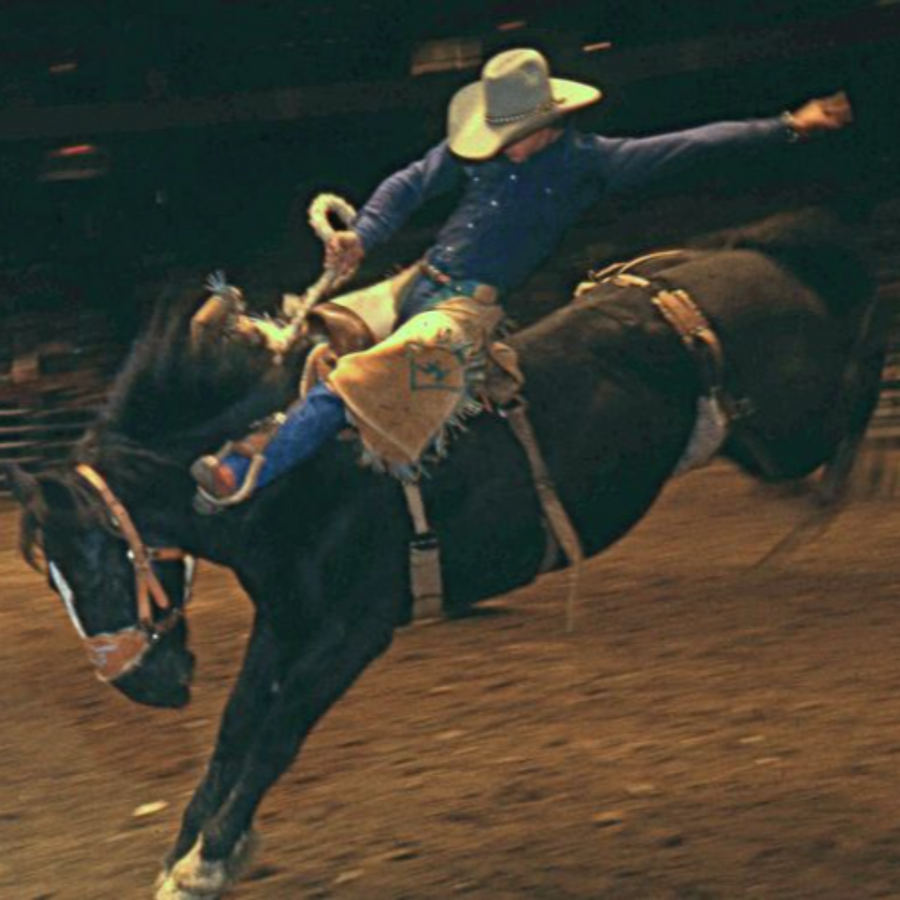 Short Go - Riding with the Twisters: Mike Fletcher's Team Rodeo Journey ...