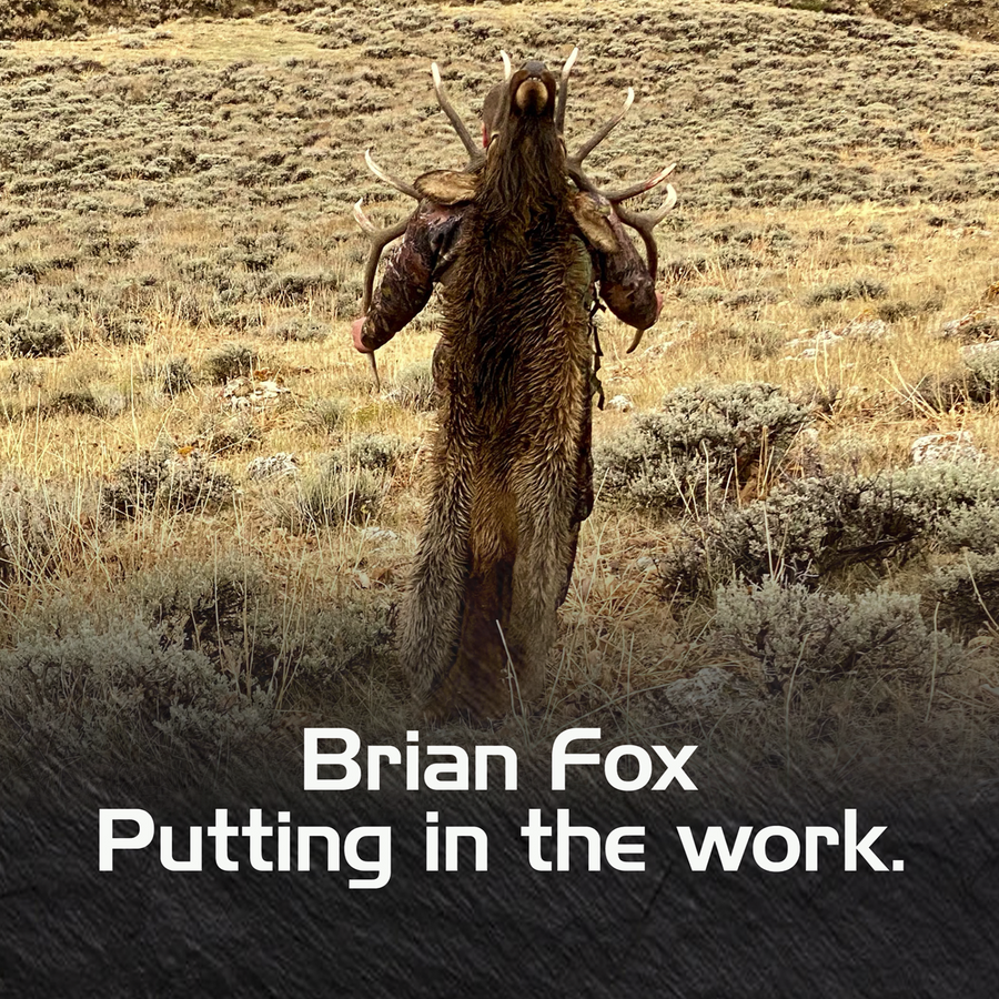 Brian Fox is Back! | Podcast Episode on RSS.com