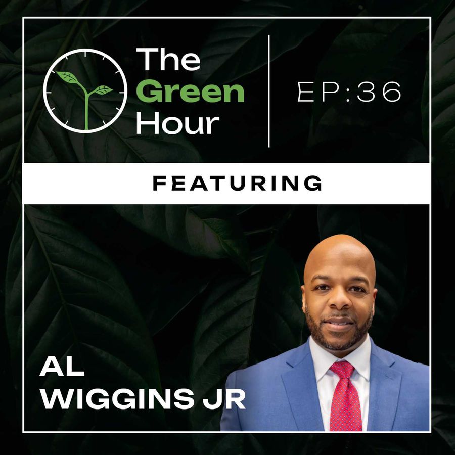 The Role of Public Works in Urban Management with Al Wiggins Jr ...