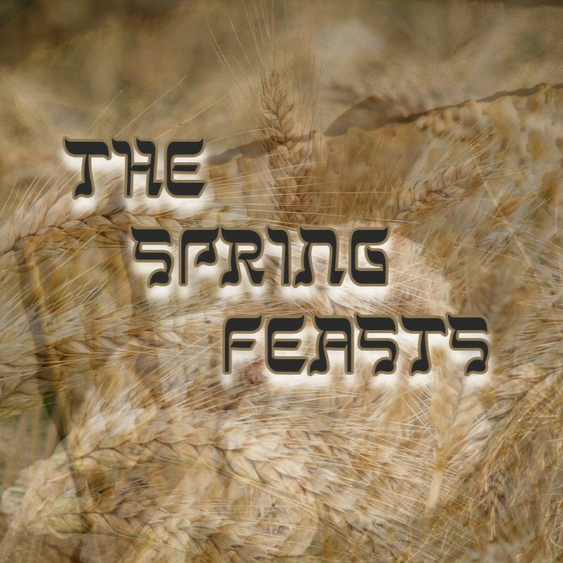 Lion and Lamb Ministries Podcast - The Spring Feasts - Episode 3- The Elements of Passover, Part ...