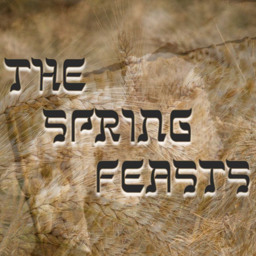 The Spring Feasts - Episode 4 - The Traditional Elements of Passover ...