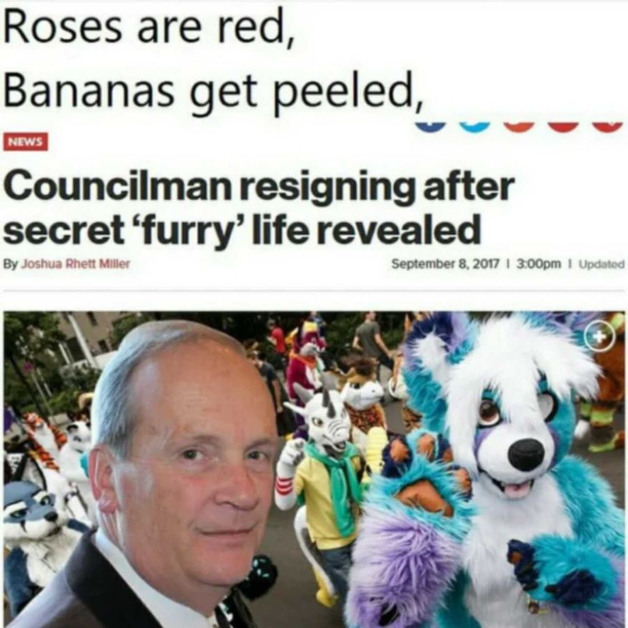Memingless - Councilman Resigns Under Furry Scandal Meme | RSS.com