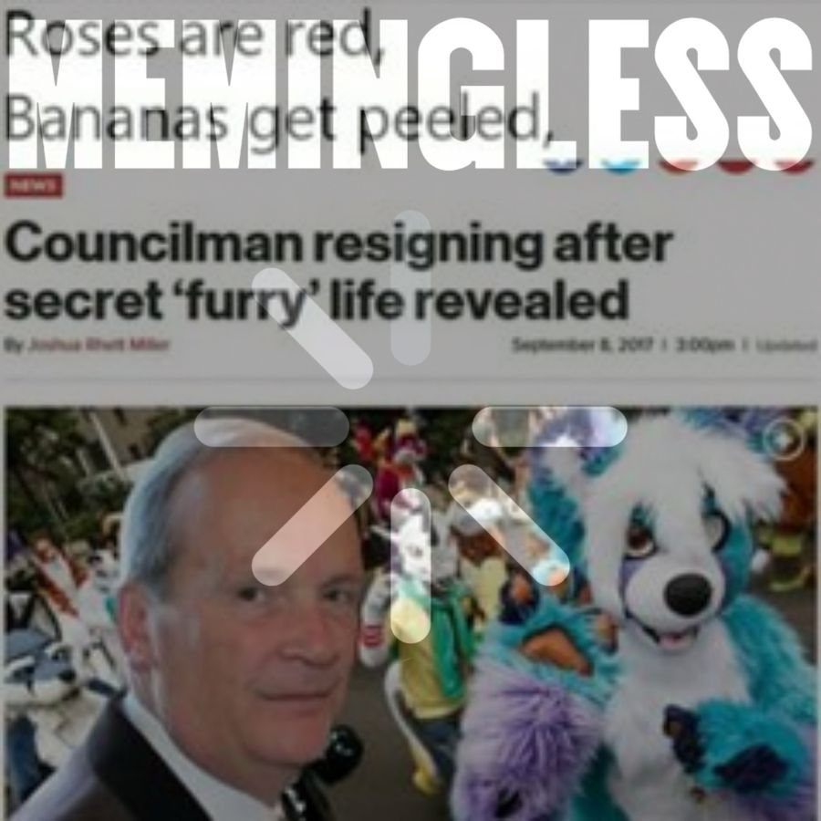 Councilman Resigns Under Furry Scandal Meme | Podcast Episode on RSS.com