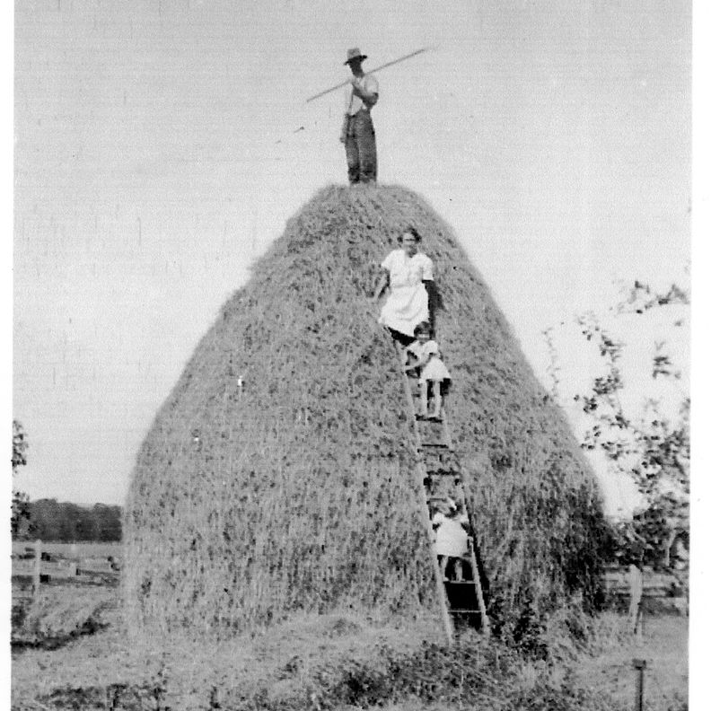 The Hitchcock family, Mullers Lane Jaspers Brush | Podcast Episode on ...