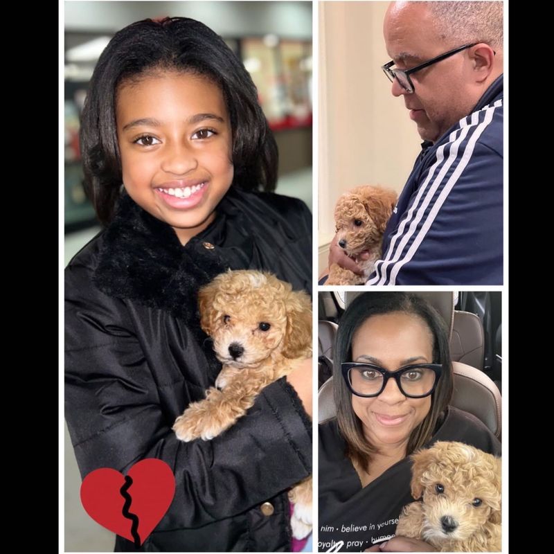 Missing Minniee | Podcast Episode on RSS.com