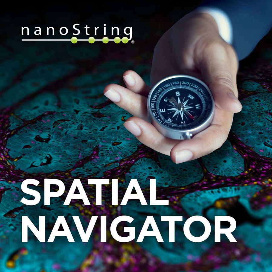 Spatial Navigator | RSS.com