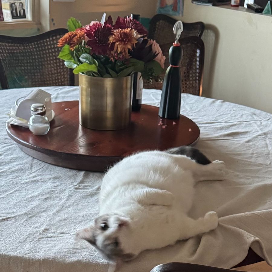 Caropop Holidays Greeting 2025-26 | Podcast Episode on RSS.com