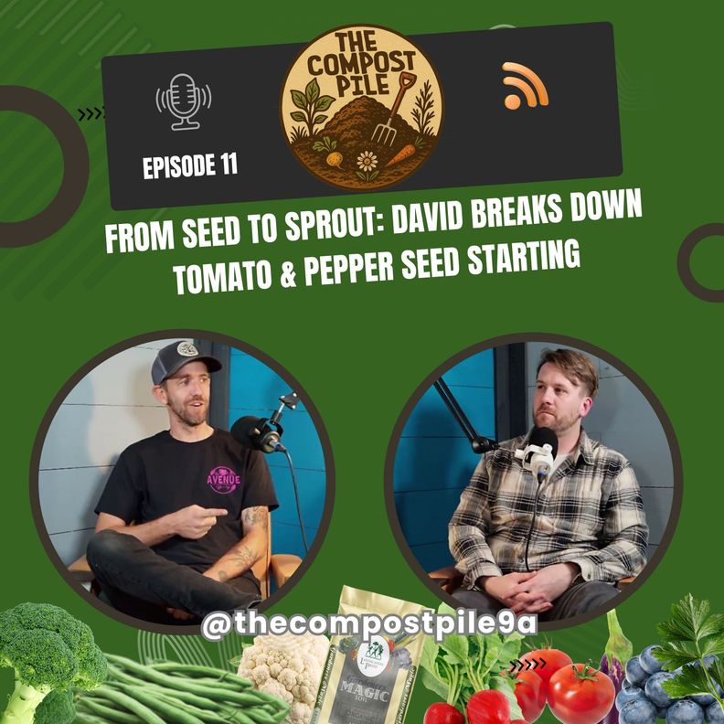 From Seed to Sprout: David Breaks Down Tomato & Pepper Seed Starting ...