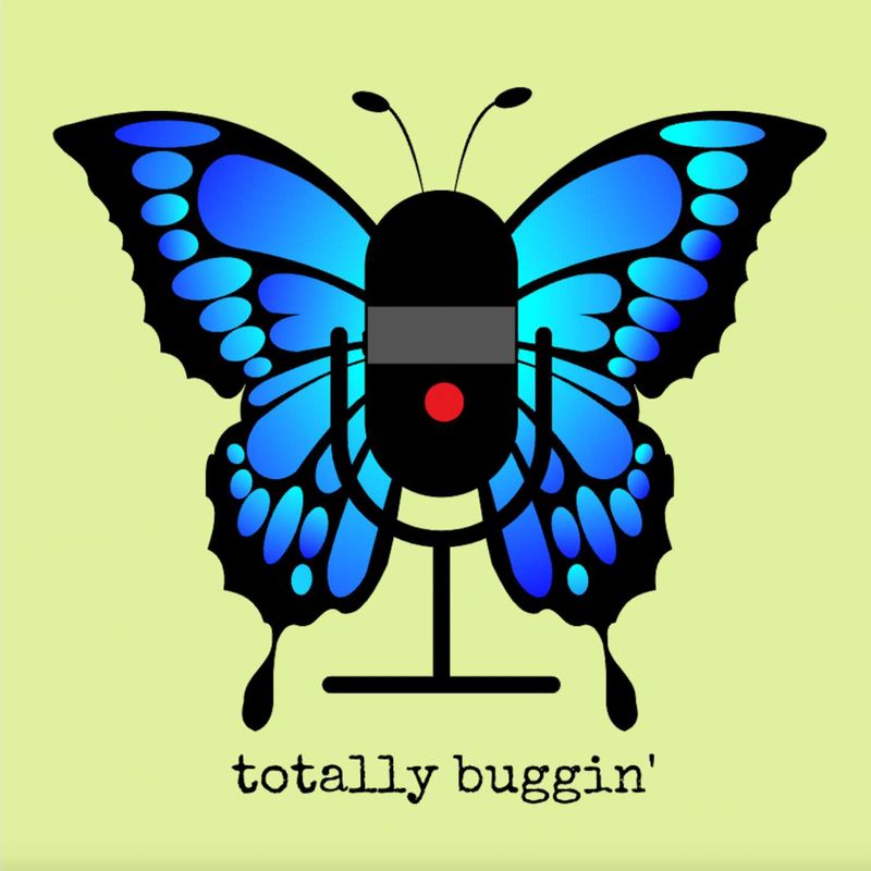 Totally Buggin’ - Medical Maggots (Fit For A King?) | RSS.com