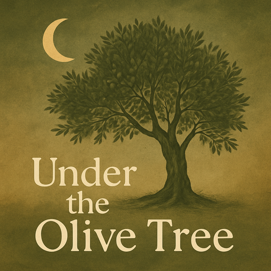 Under the Olive Tree | Podcast on RSS.com