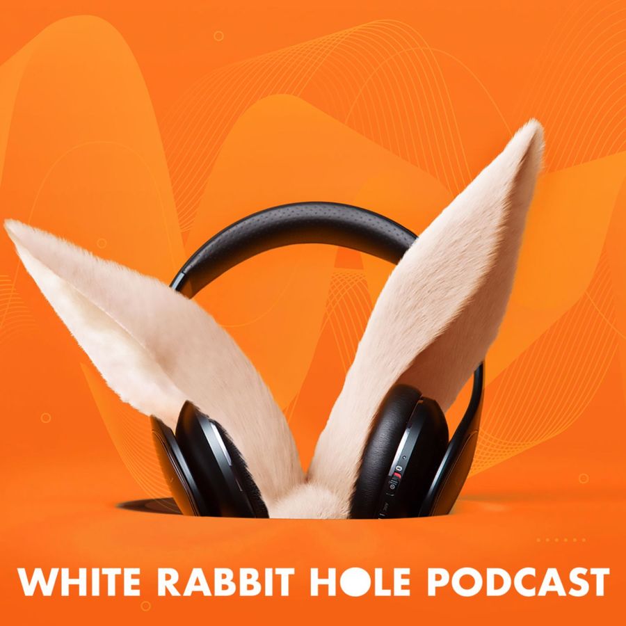 White Rabbit Hole Podcast - The step-by-step Guide for a Successful EU ...
